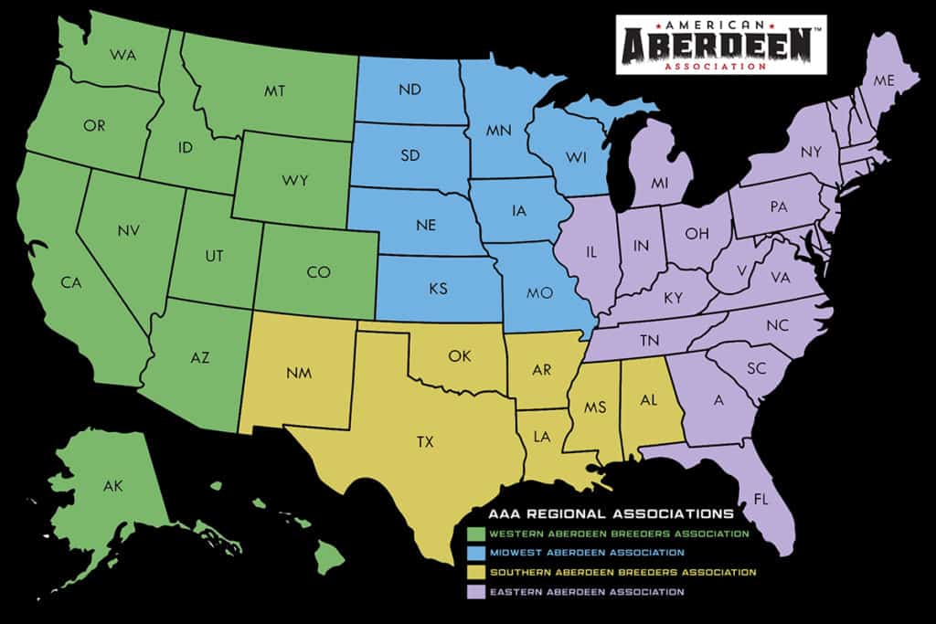 Regional Associations - American Aberdeen Association